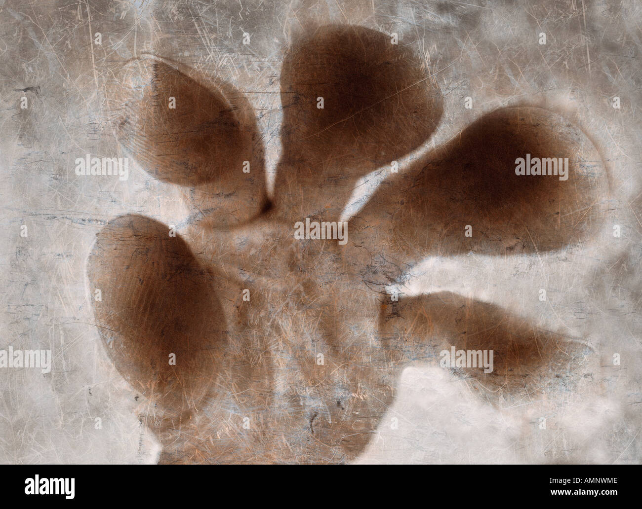 Distorted anatomy hi-res stock photography and images - Alamy