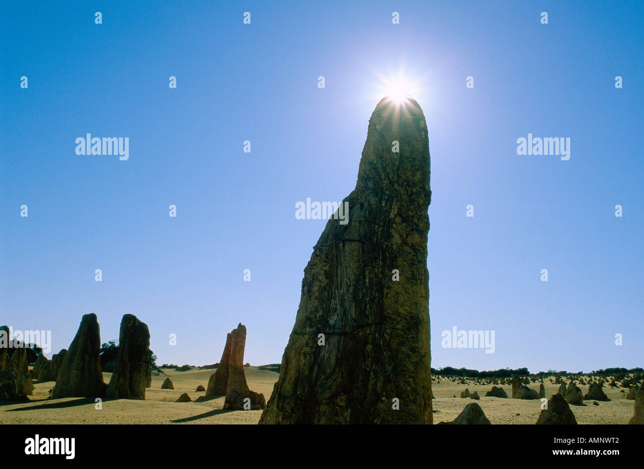 Rock Formation, The Pinnacles, Western Australia Stock Photo - Alamy