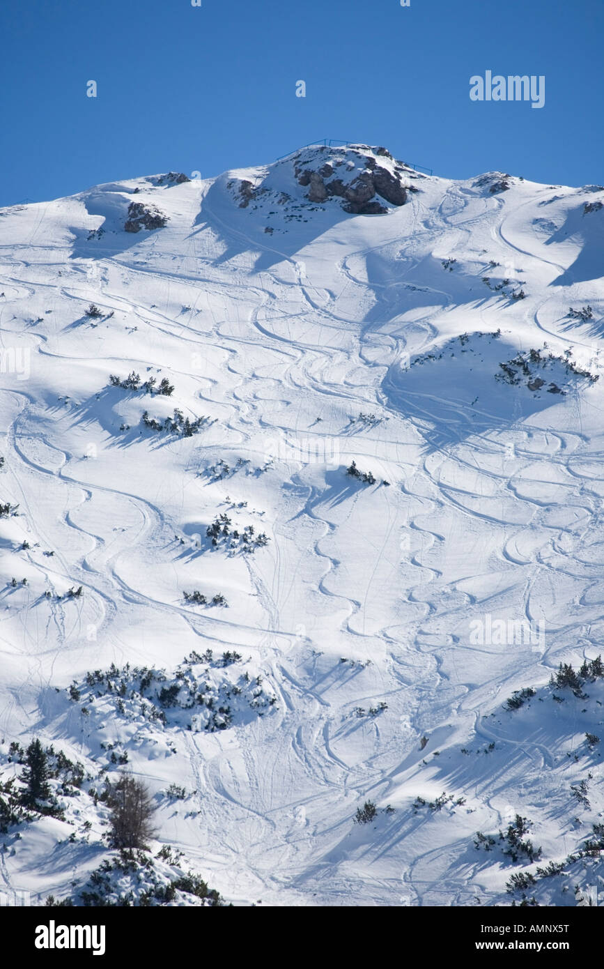 off piste snow trails high up in the mountains, Seefeld, Austria Stock ...