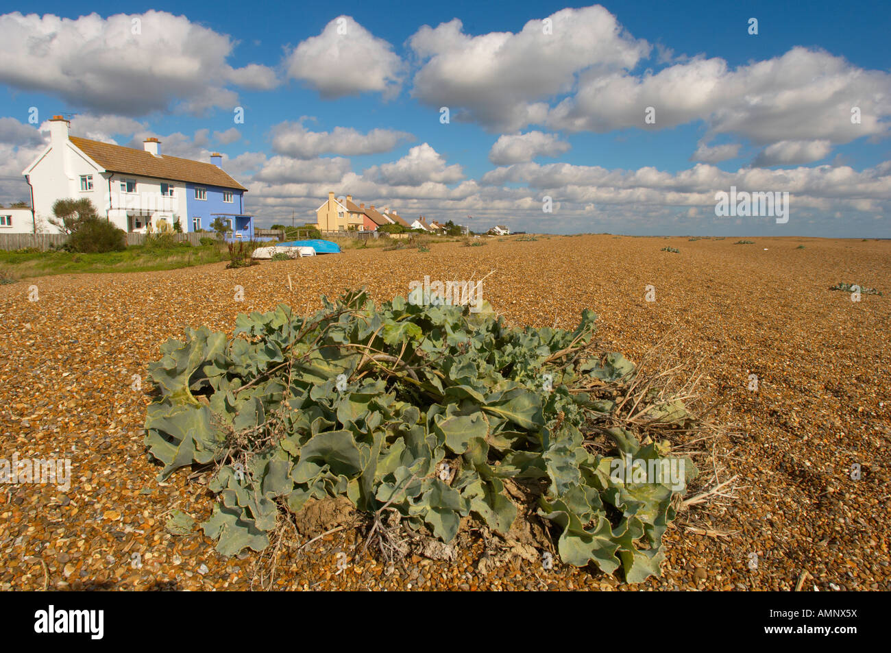 Pristine shingle beach hi-res stock photography and images - Alamy