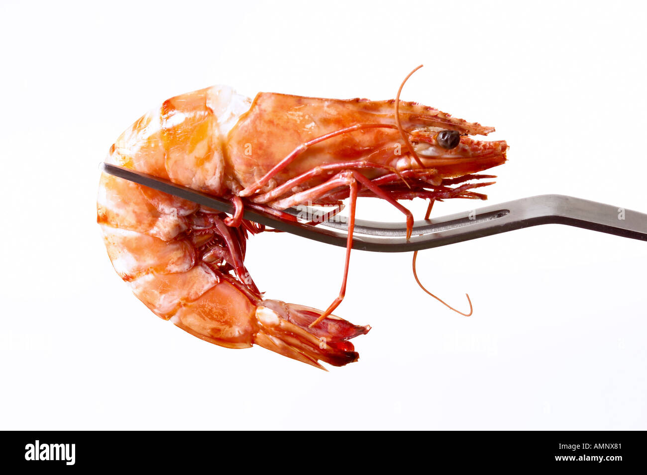 King Prawn and fork, close-up Stock Photo - Alamy