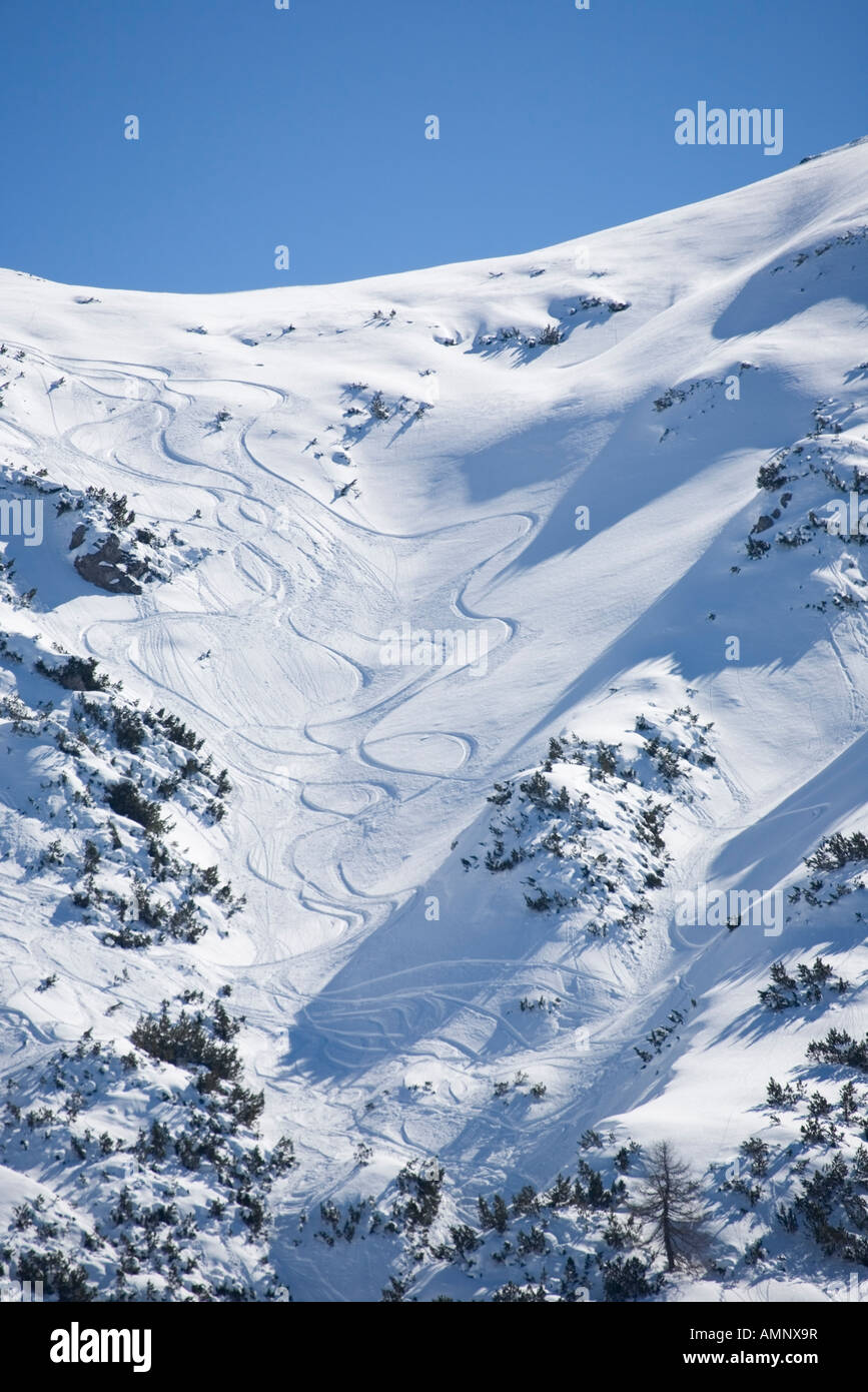 off piste snow trails high up in the mountains, Seefeld, Austria Stock ...
