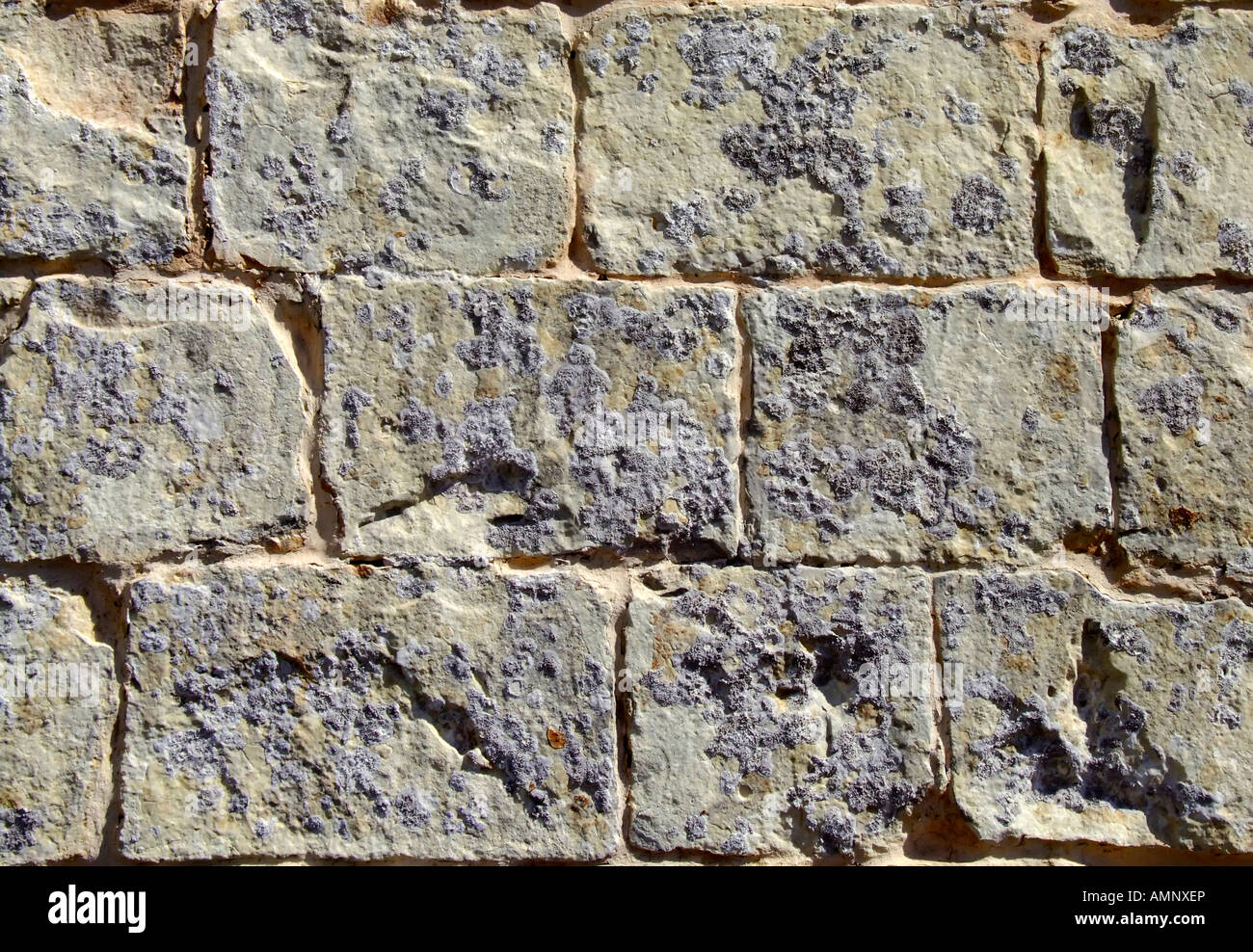Detail and texture of medieval buildings Limestone wall in Malta with ...