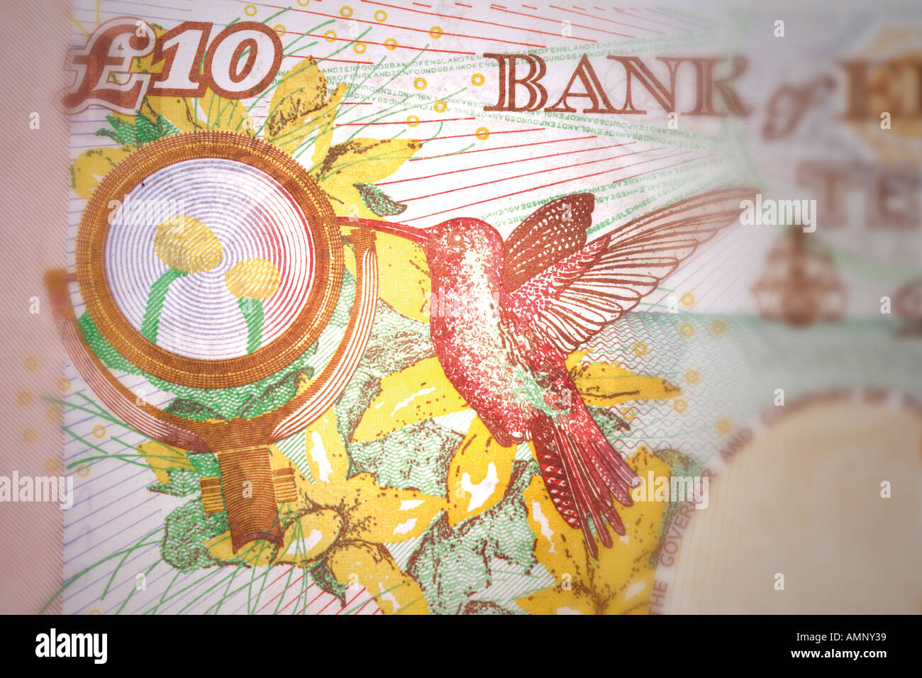 10 pound hi-res stock photography and images - Alamy