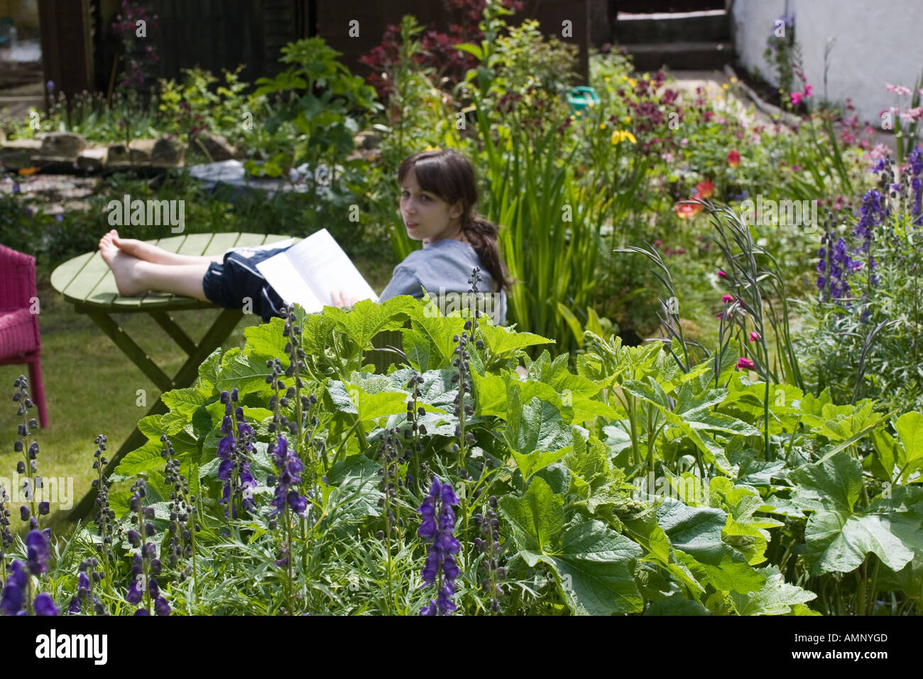 Teenage Girl Studying for Exams in Garden People Lifestyle Wales Stock ...