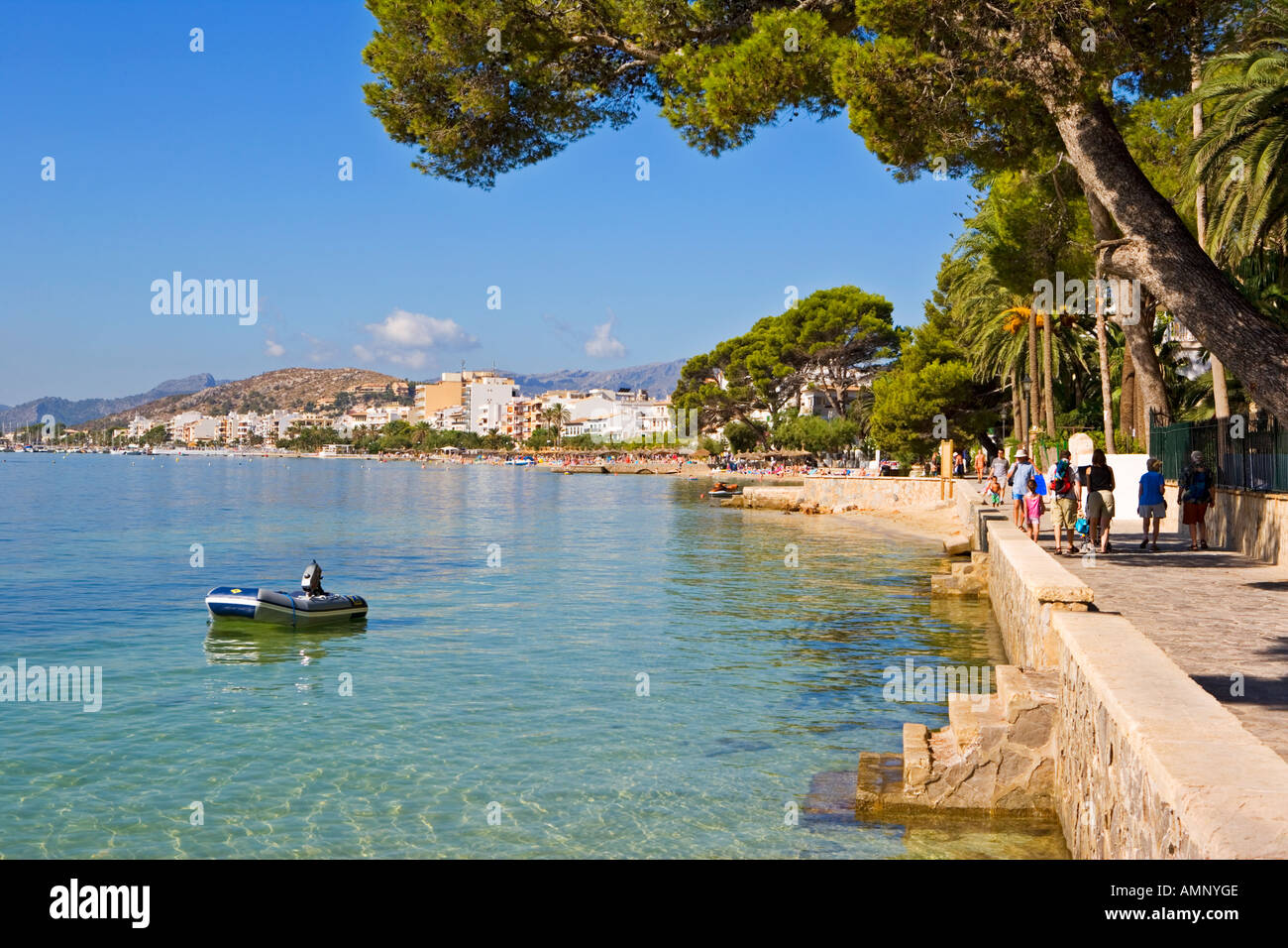 THE PINE WALKWAY PUERTO POLLENSA MAJORCA Stock Photo - Alamy