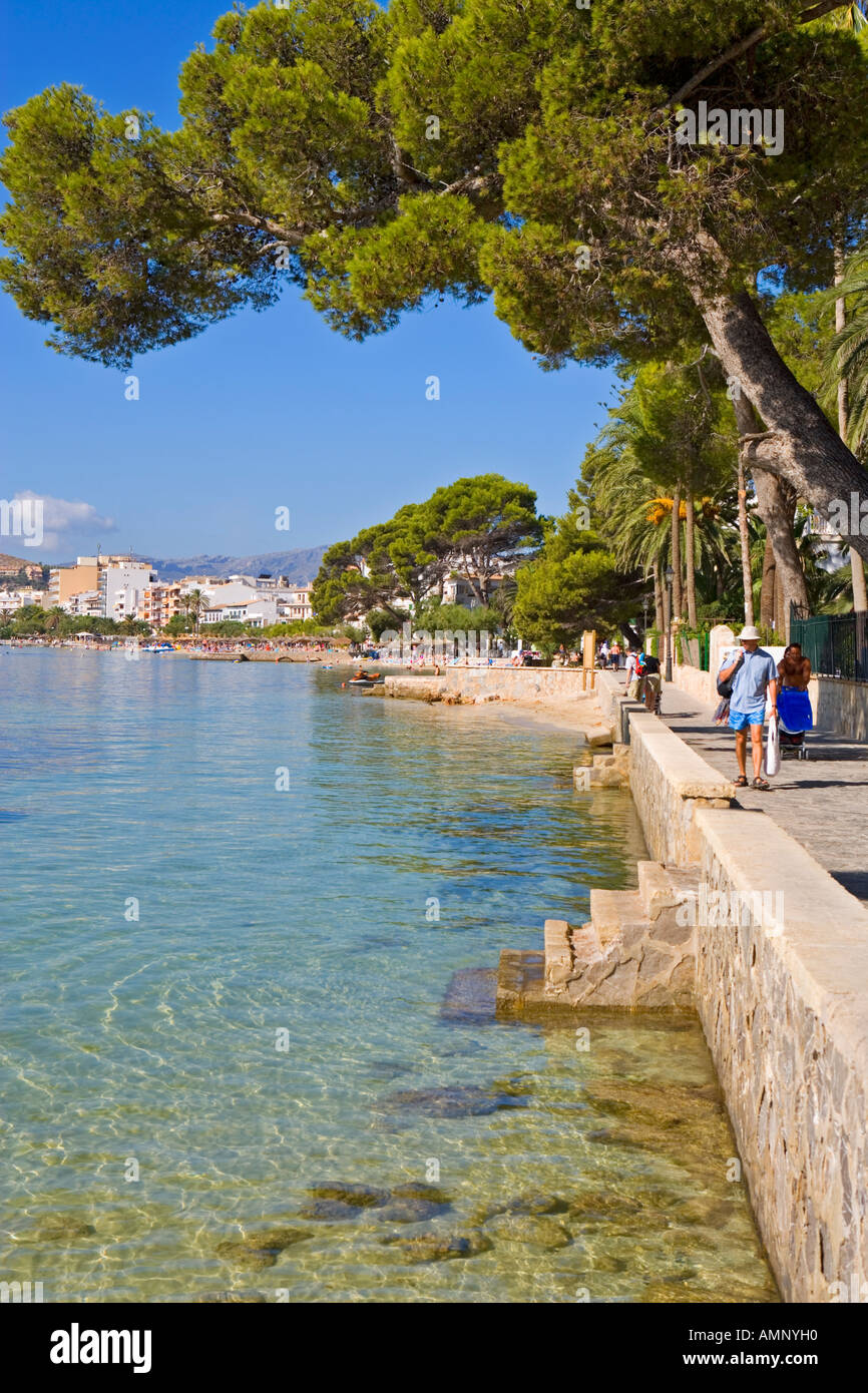 THE PINE WALKWAY PUERTO POLLENSA MAJORCA Stock Photo - Alamy