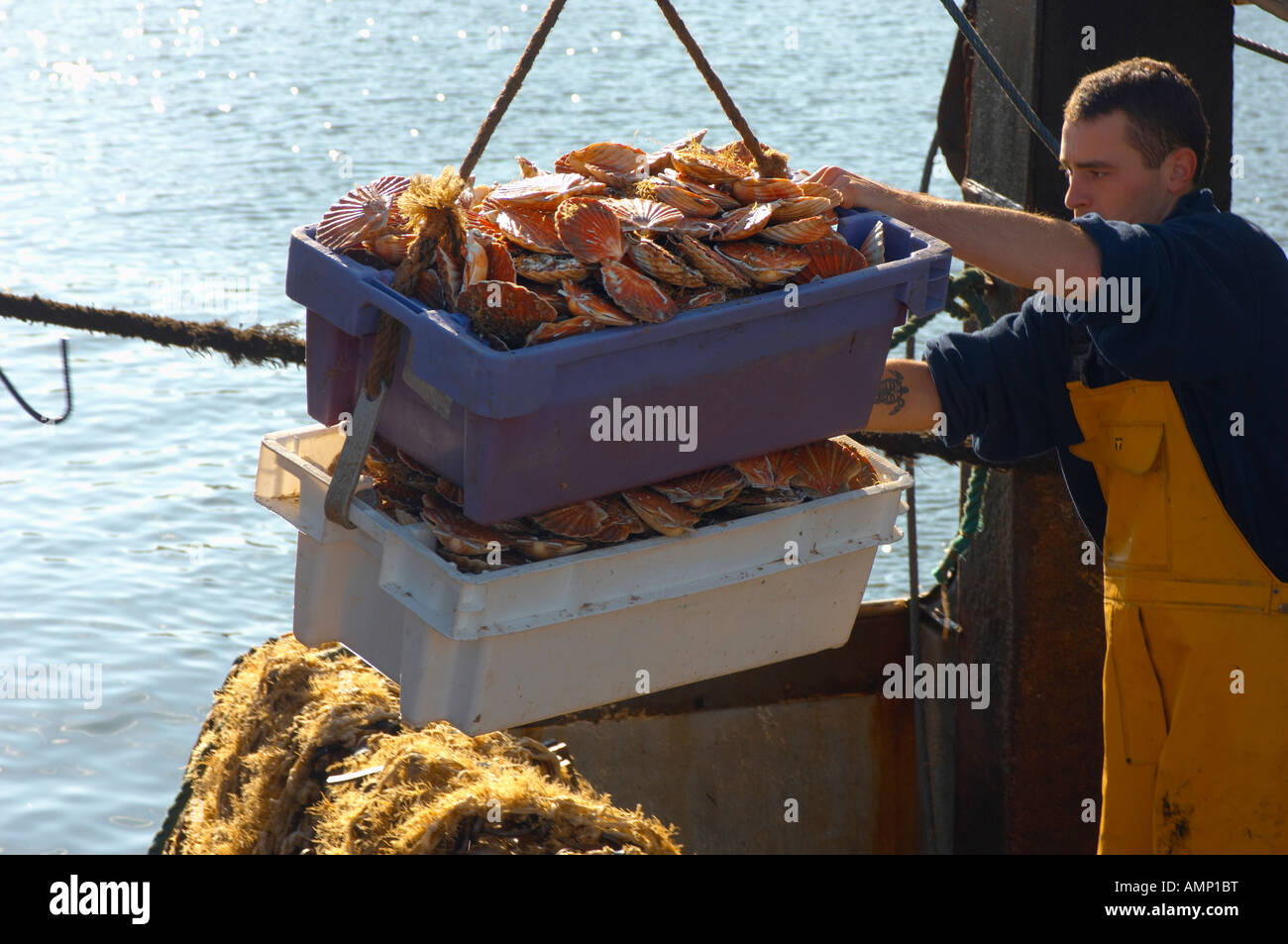 Scallop nets france hi-res stock photography and images - Alamy