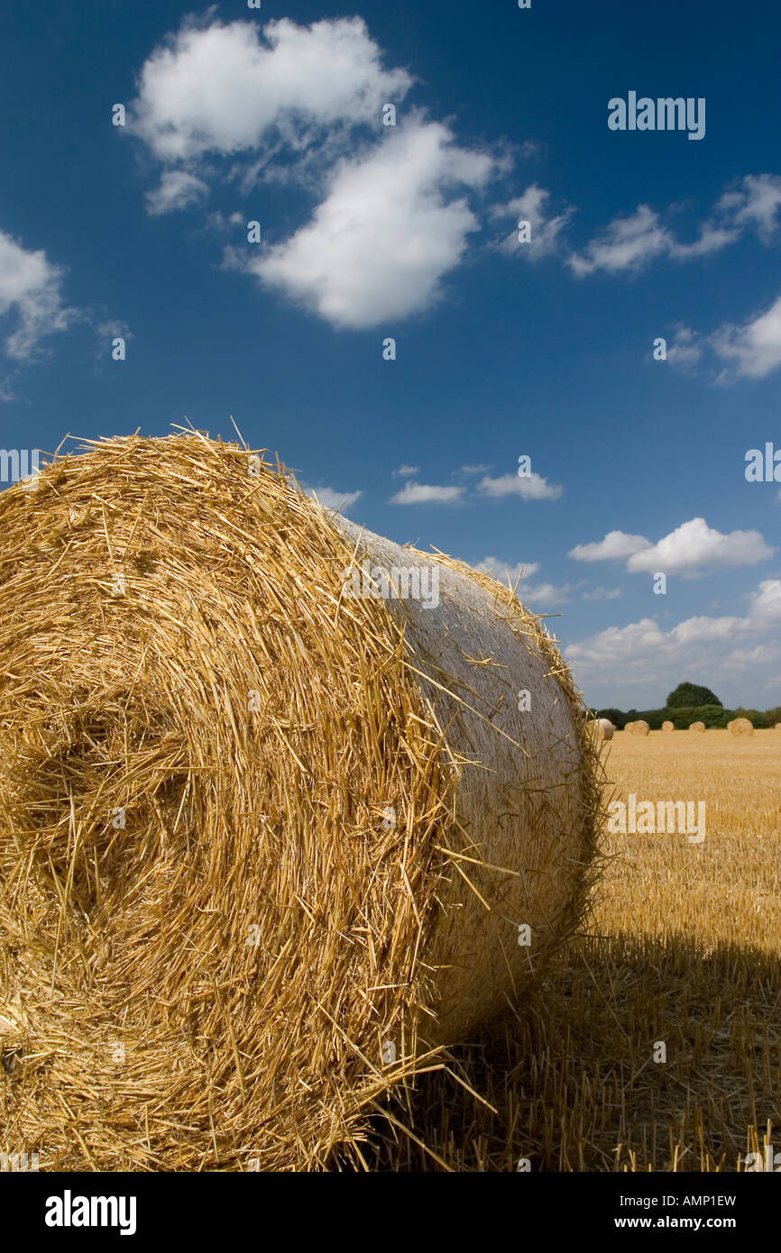 round straw balls Stock Photo - Alamy