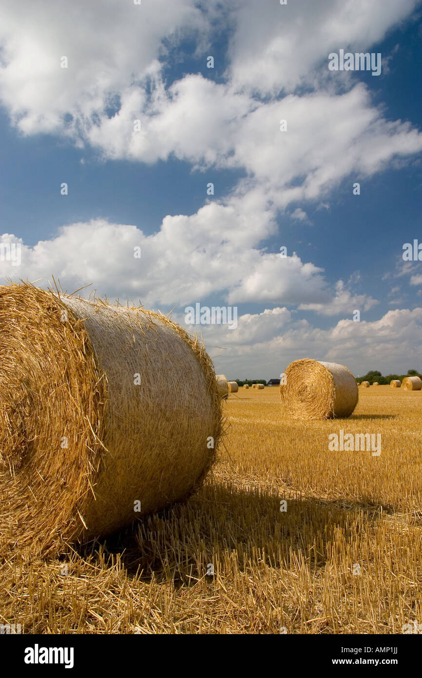 round straw balls Stock Photo - Alamy
