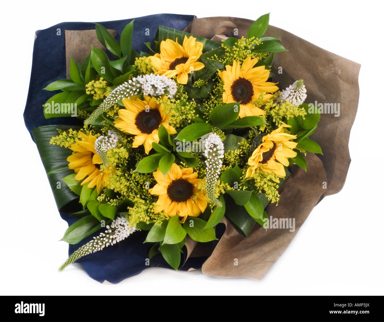 Bouquet of sunflowers with green leaves Stock Photo - Alamy
