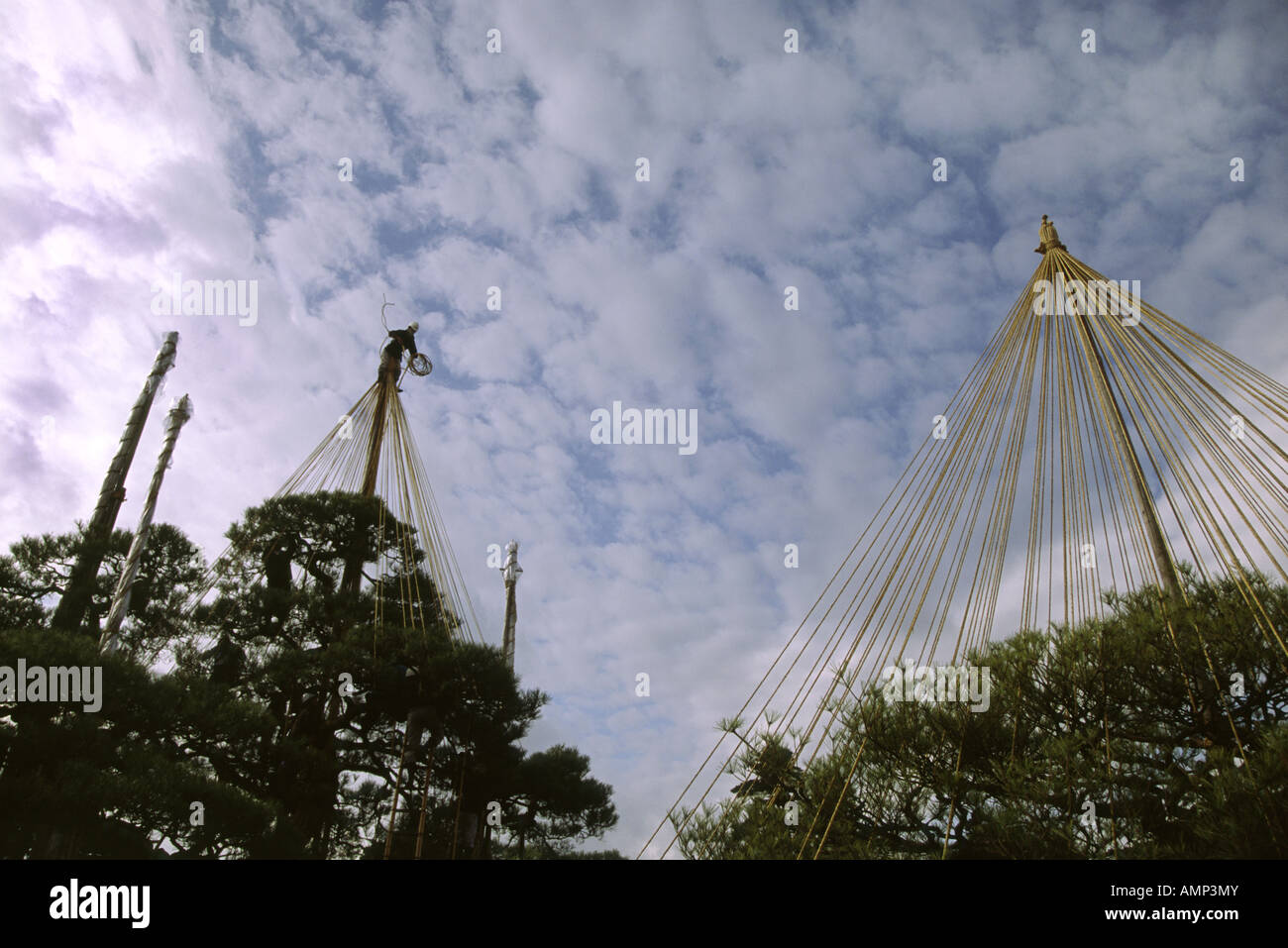 Yukitsuri ropes hi-res stock photography and images - Alamy