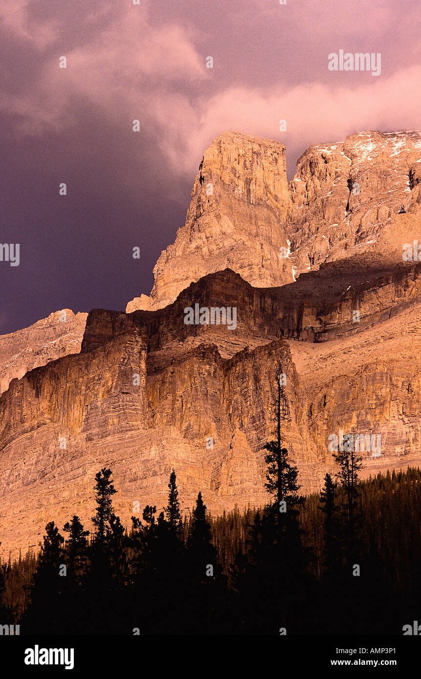 Mount Murchison, Banff National Park, Alberta, Canada Stock Photo - Alamy