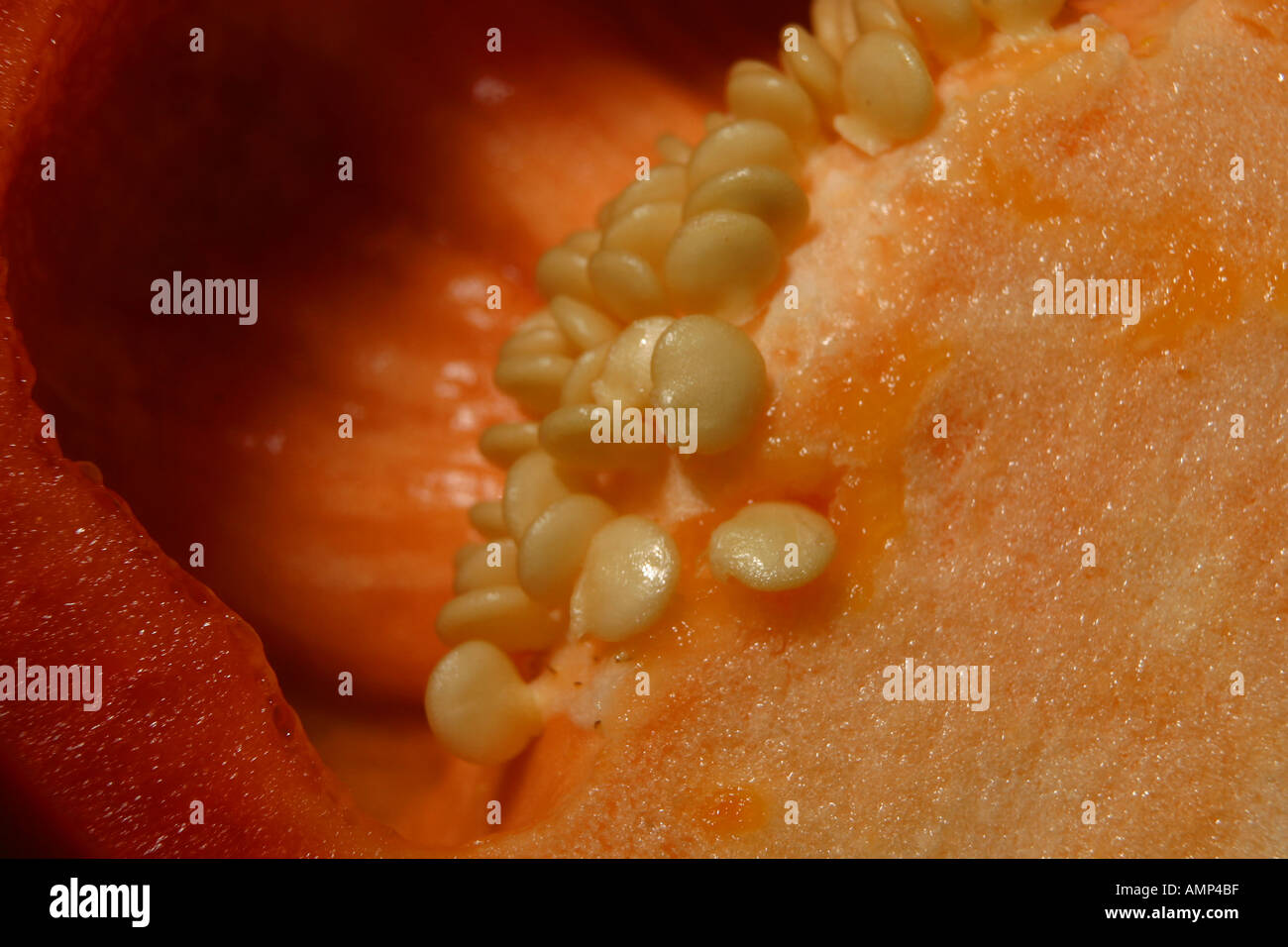 Pepper cavity hi-res stock photography and images - Alamy