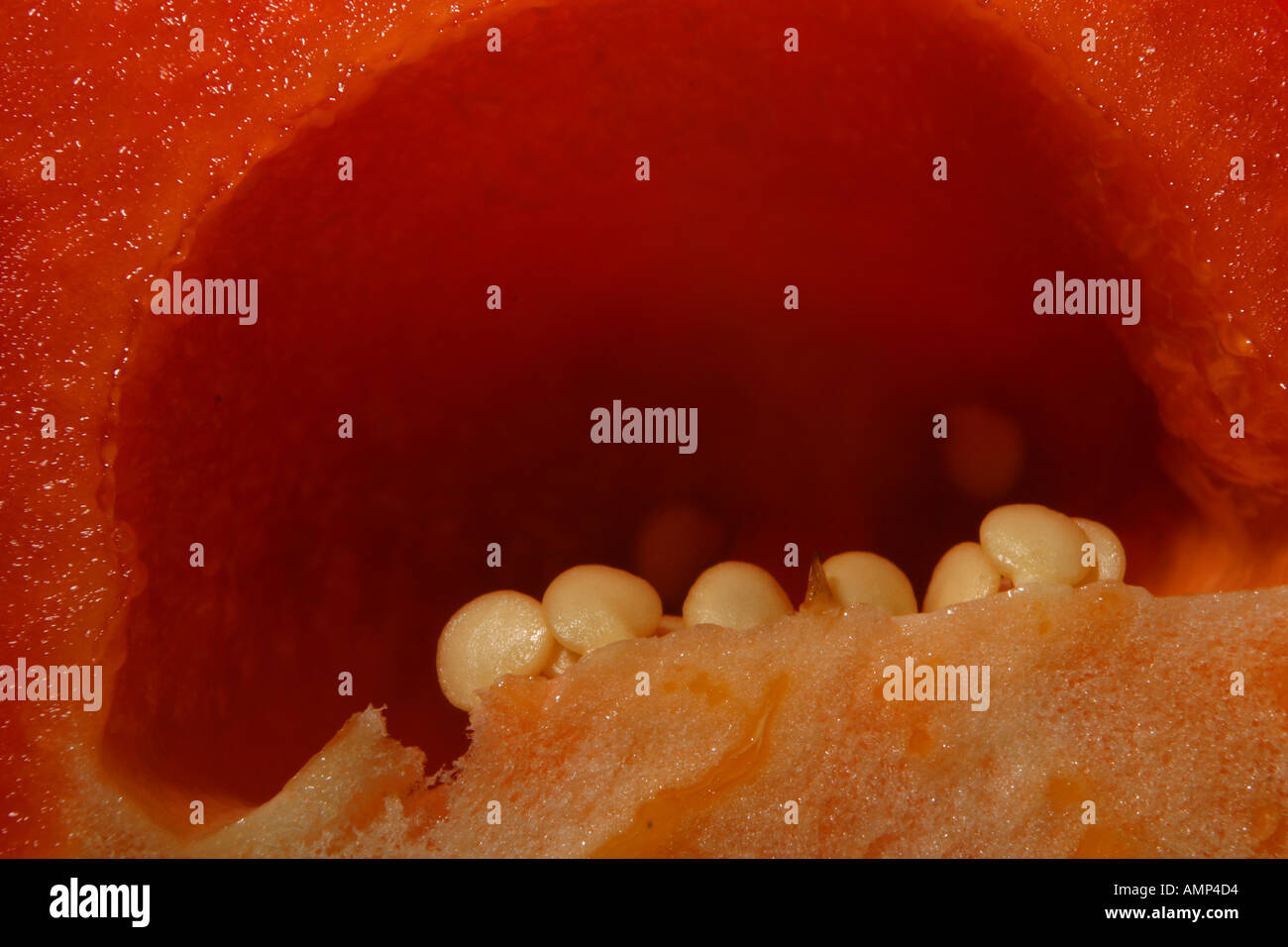 Pepper cavity hi-res stock photography and images - Alamy
