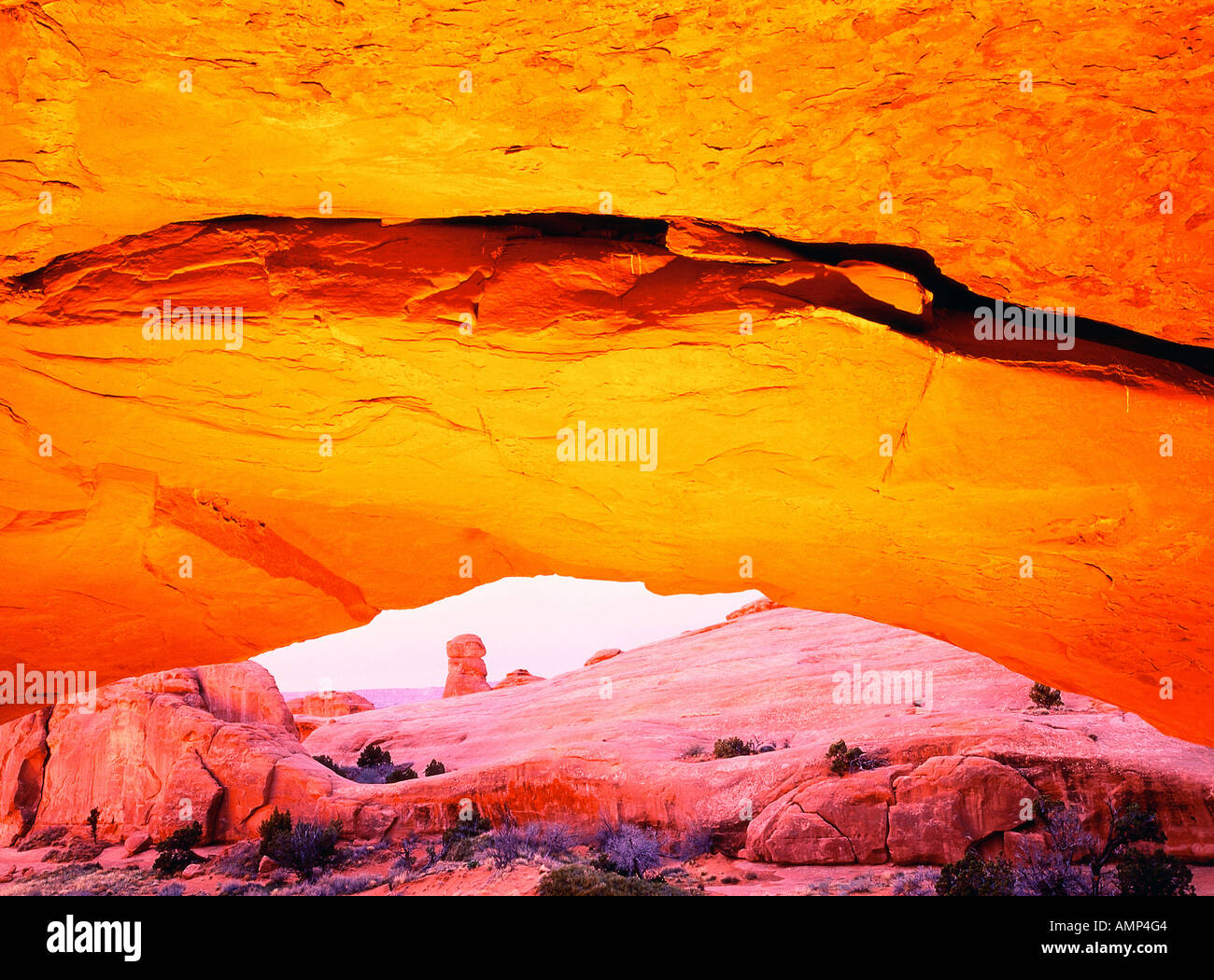 Eye of whale arch hi-res stock photography and images - Alamy