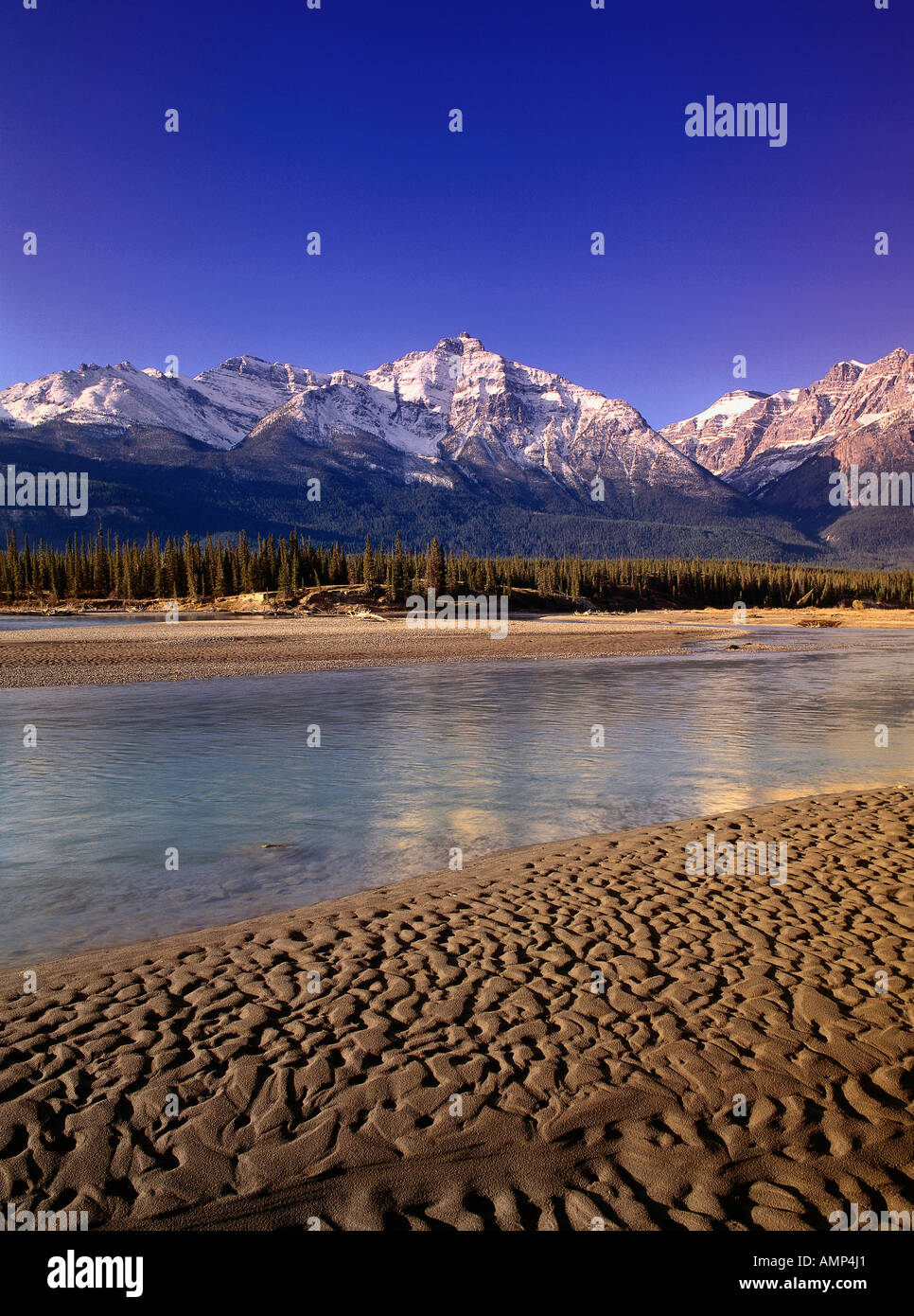 Benson saskatchewan hi-res stock photography and images - Alamy