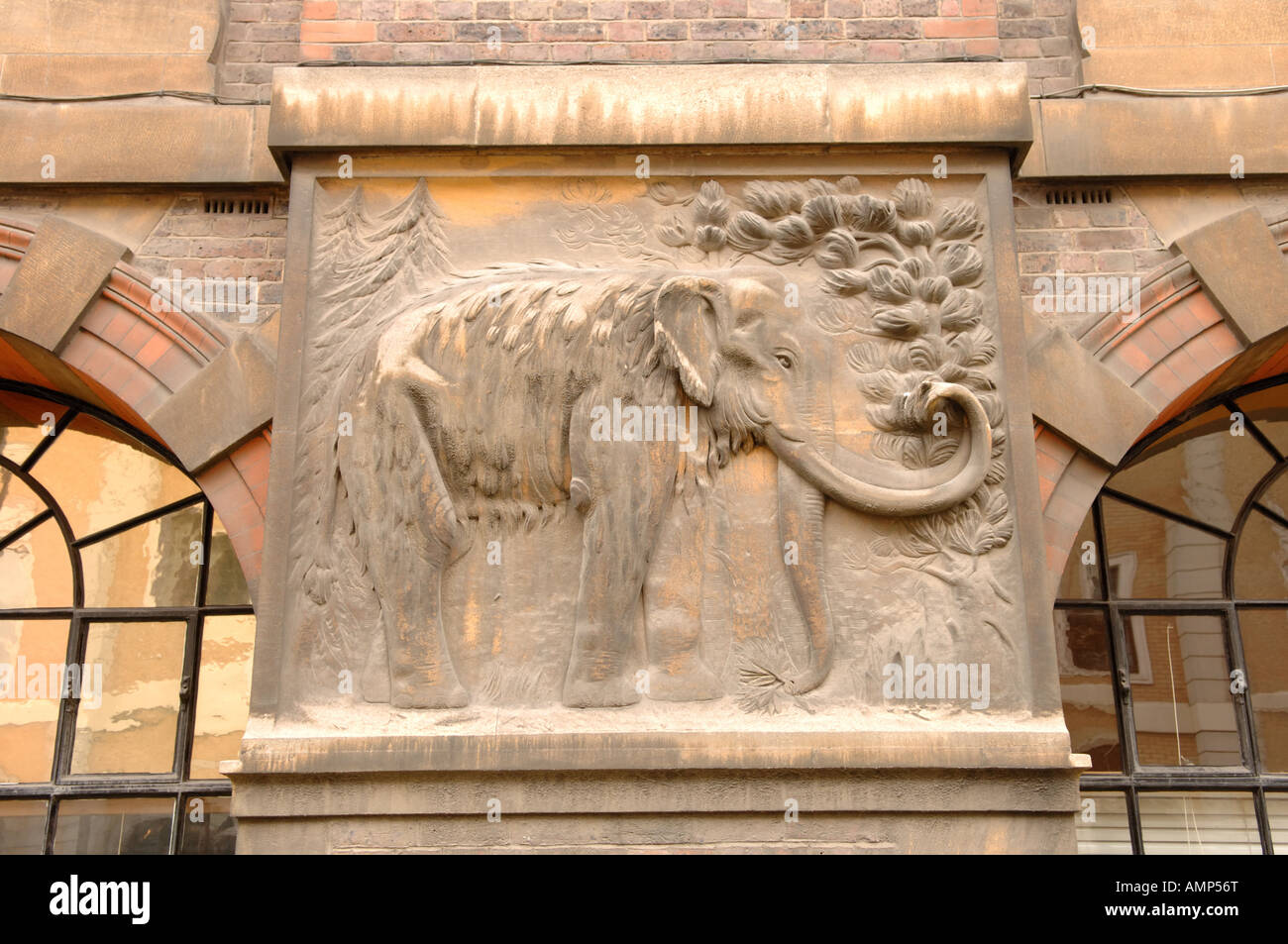 Cambridge museums hi-res stock photography and images - Alamy