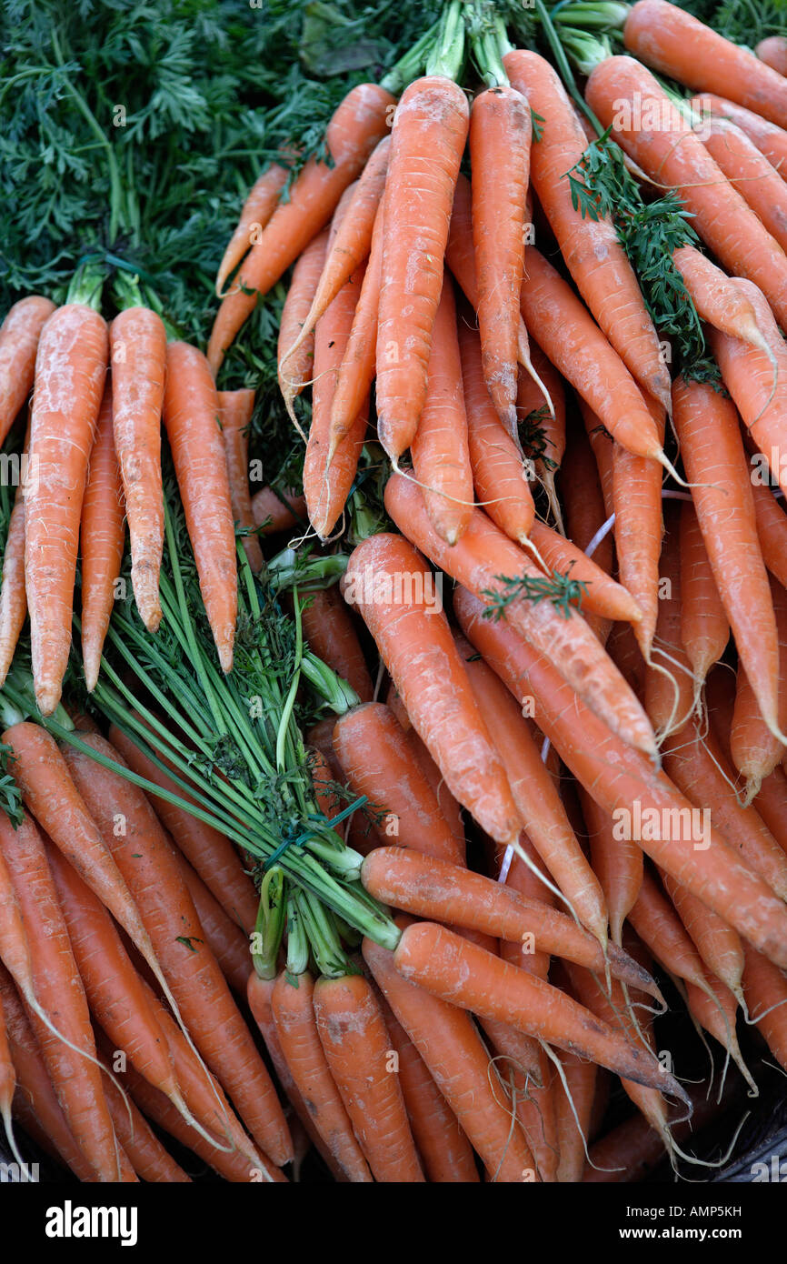 Bunched Carrots High Resolution Stock Photography and Images - Alamy