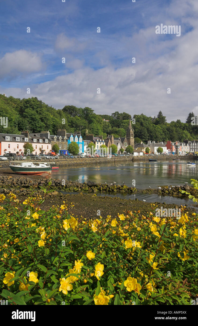 Multicoloured houses in the harbour at Tobermory Balamory Mull Inner ...