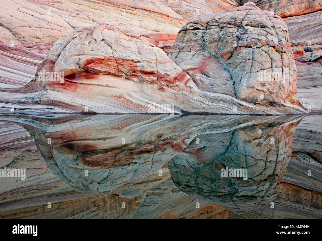 Sandstone detail in Coyote Buttes wilderness Stock Photo - Alamy