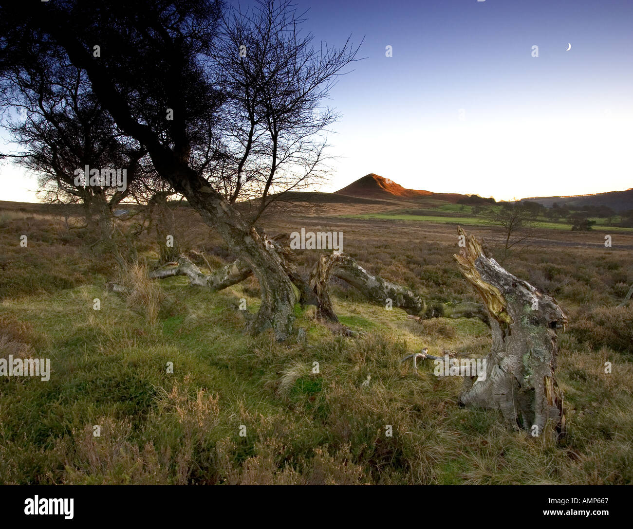 Hawnby Hill after sunset North York Moors National Park Yorkshire ...