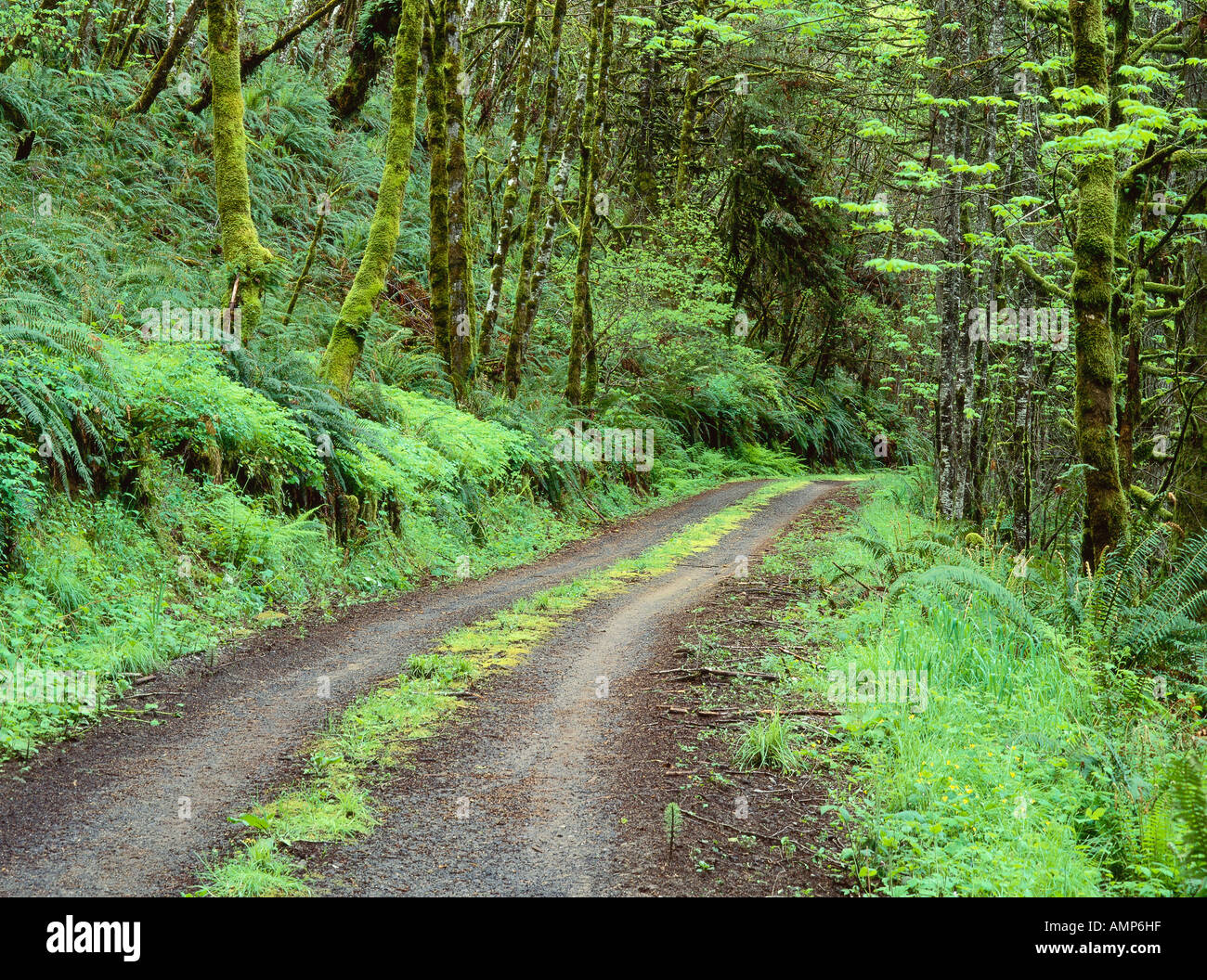 North umpqua trail hi-res stock photography and images - Alamy