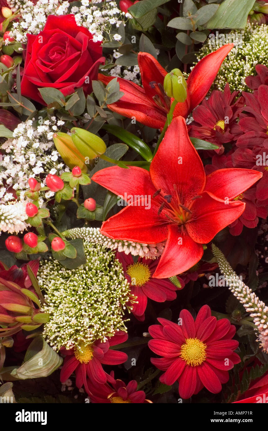 Attractive floral display of assorted red flowers with white sprays and ...