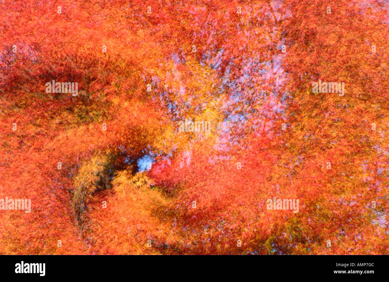 Abstract Fall Colours Stock Photo - Alamy