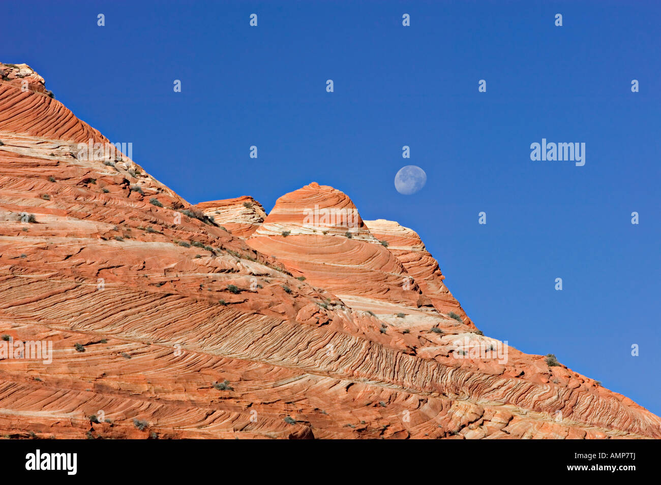 Sandstone formations in Coyote buttes wilderness Stock Photo - Alamy