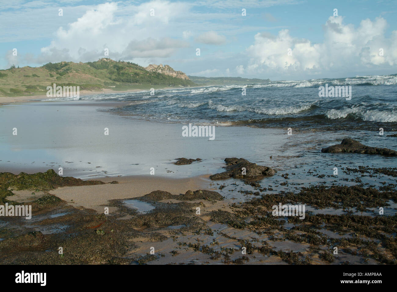 Rock pools at Bathsheba beach East Coast Barbados Stock Photo - Alamy