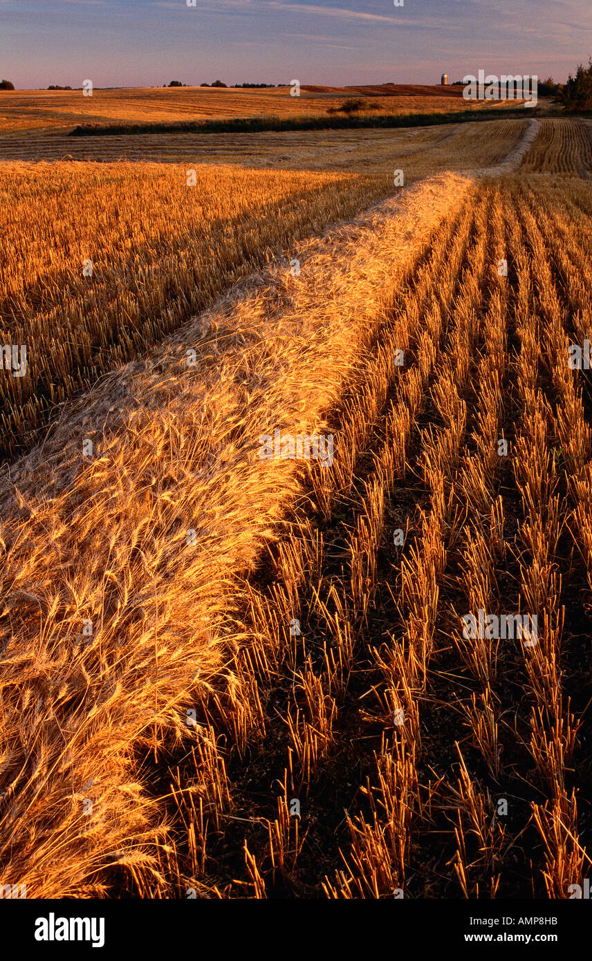 Swath of land hi-res stock photography and images - Alamy