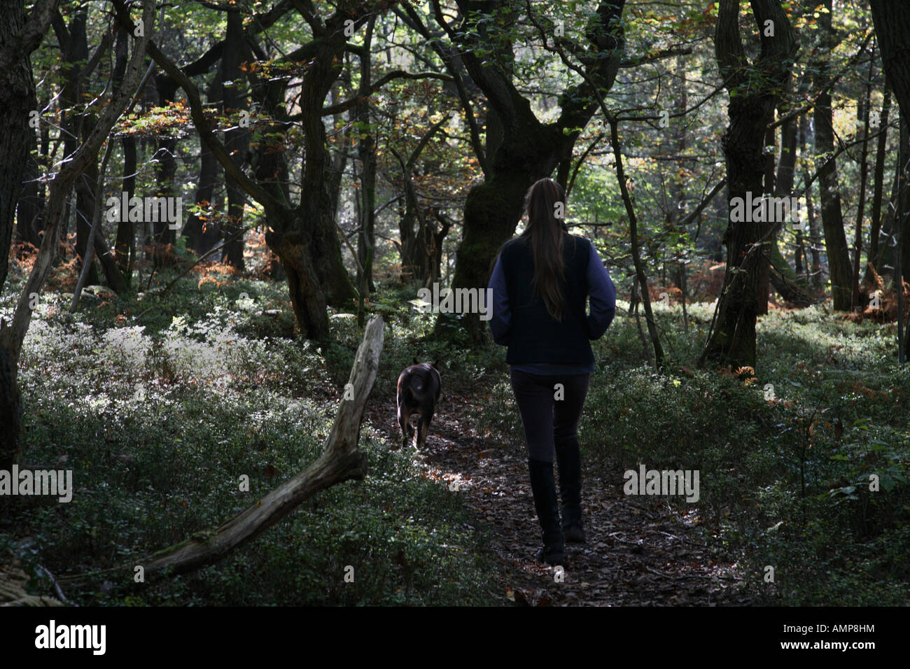 Abinger common, surrey hi-res stock photography and images - Alamy