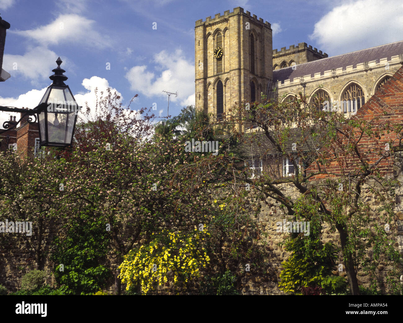 Ripon Cathedral Ripon Yorkshire Stock Photo - Alamy