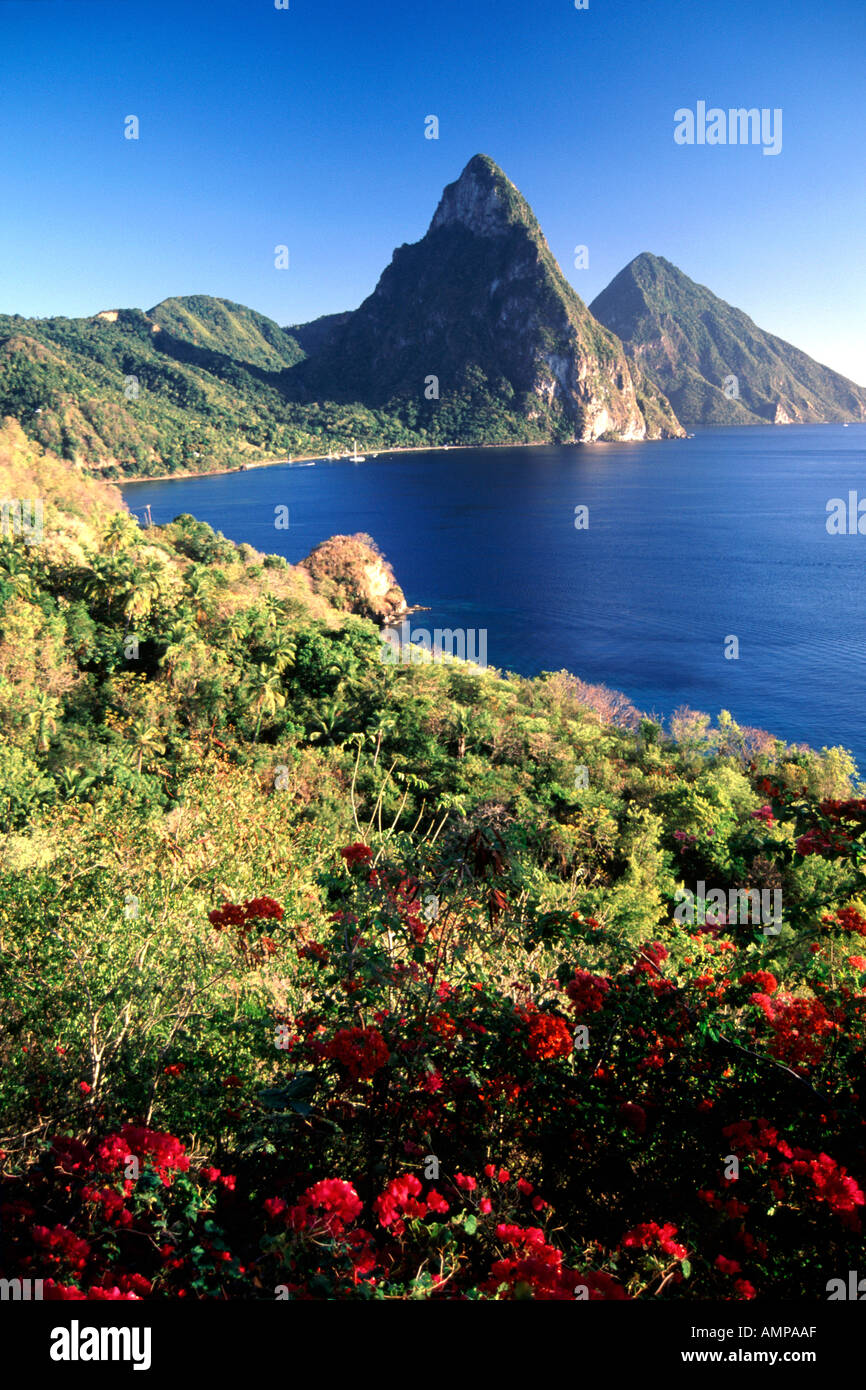 The Pitons in St Lucia in the Caribbean Stock Photo - Alamy