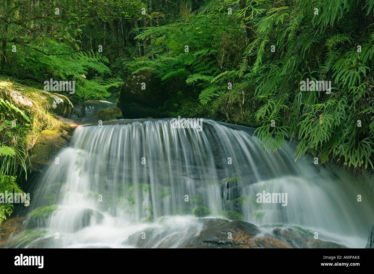 Rainforest waterfall, Andasibe-Mantadia National Park Madagascar Stock ...