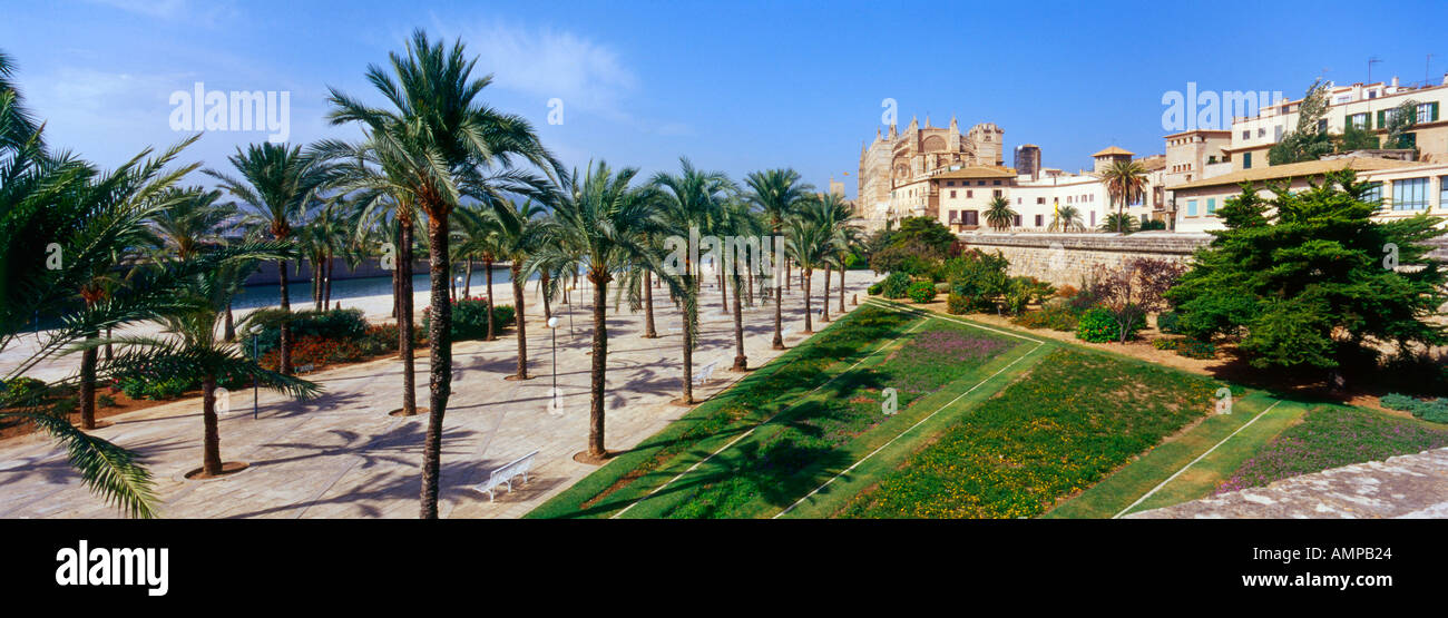 Palma Cathedral and Gardens Majorca Stock Photo - Alamy