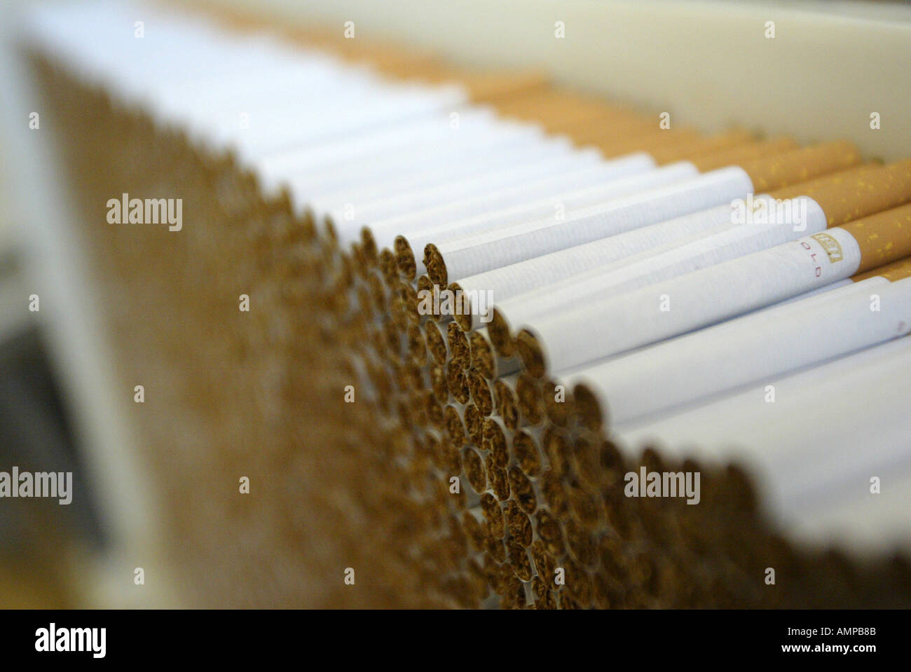 Cigarettes being made on a production line Stock Photo - Alamy