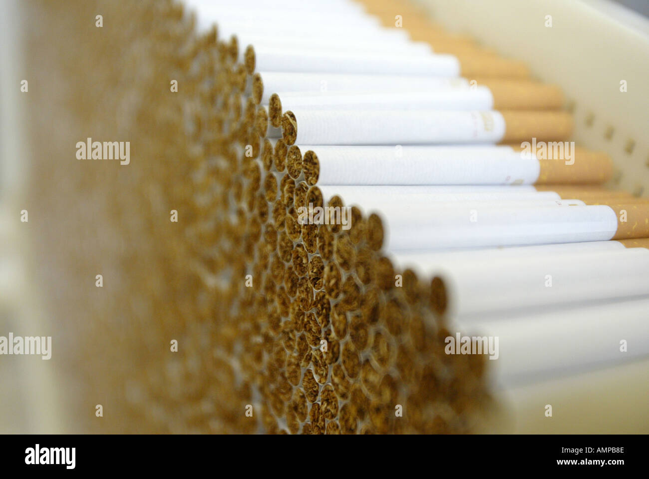 Cigarettes being made on a production line Stock Photo - Alamy