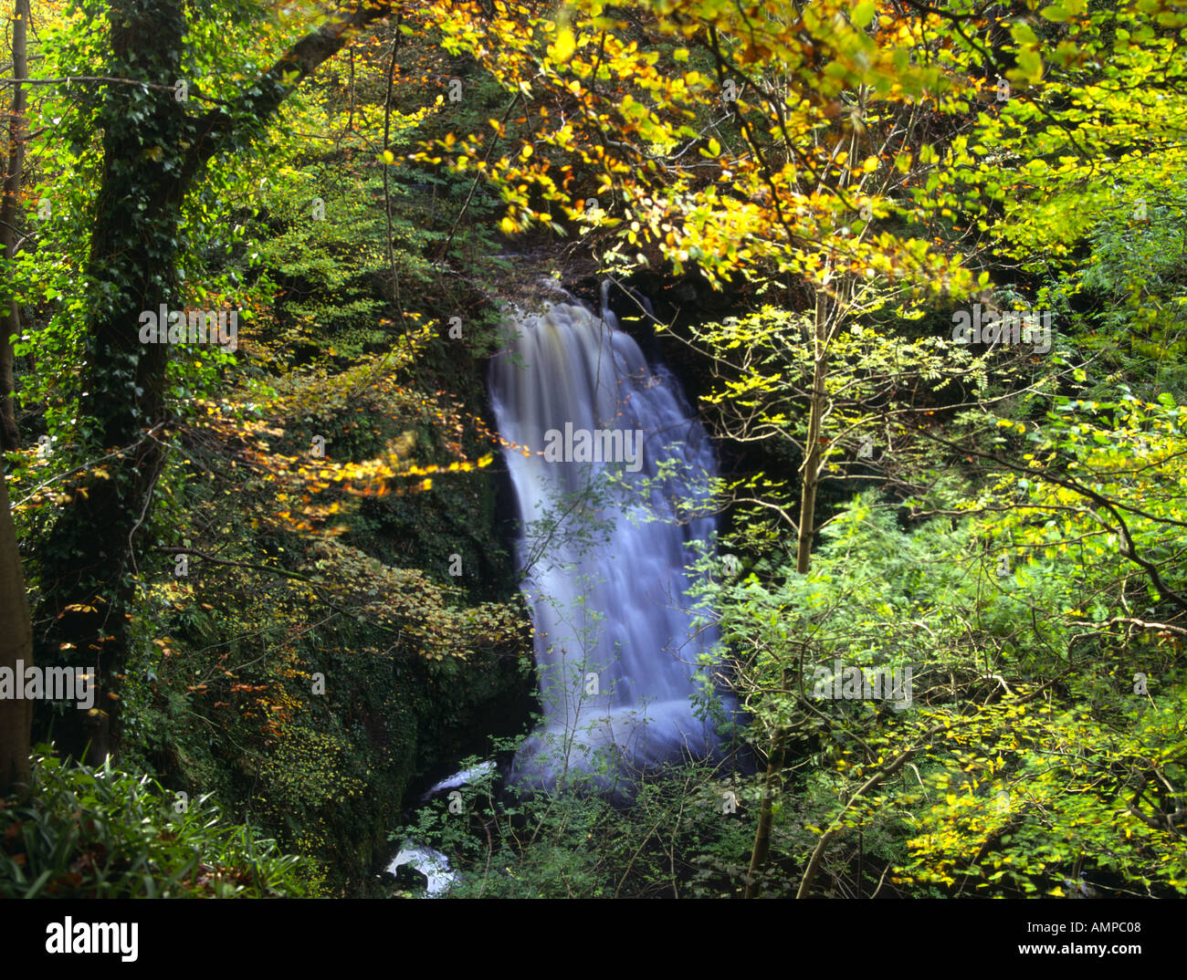 Falling Foss Waterfall in Autumn May Beck North York Moors National ...