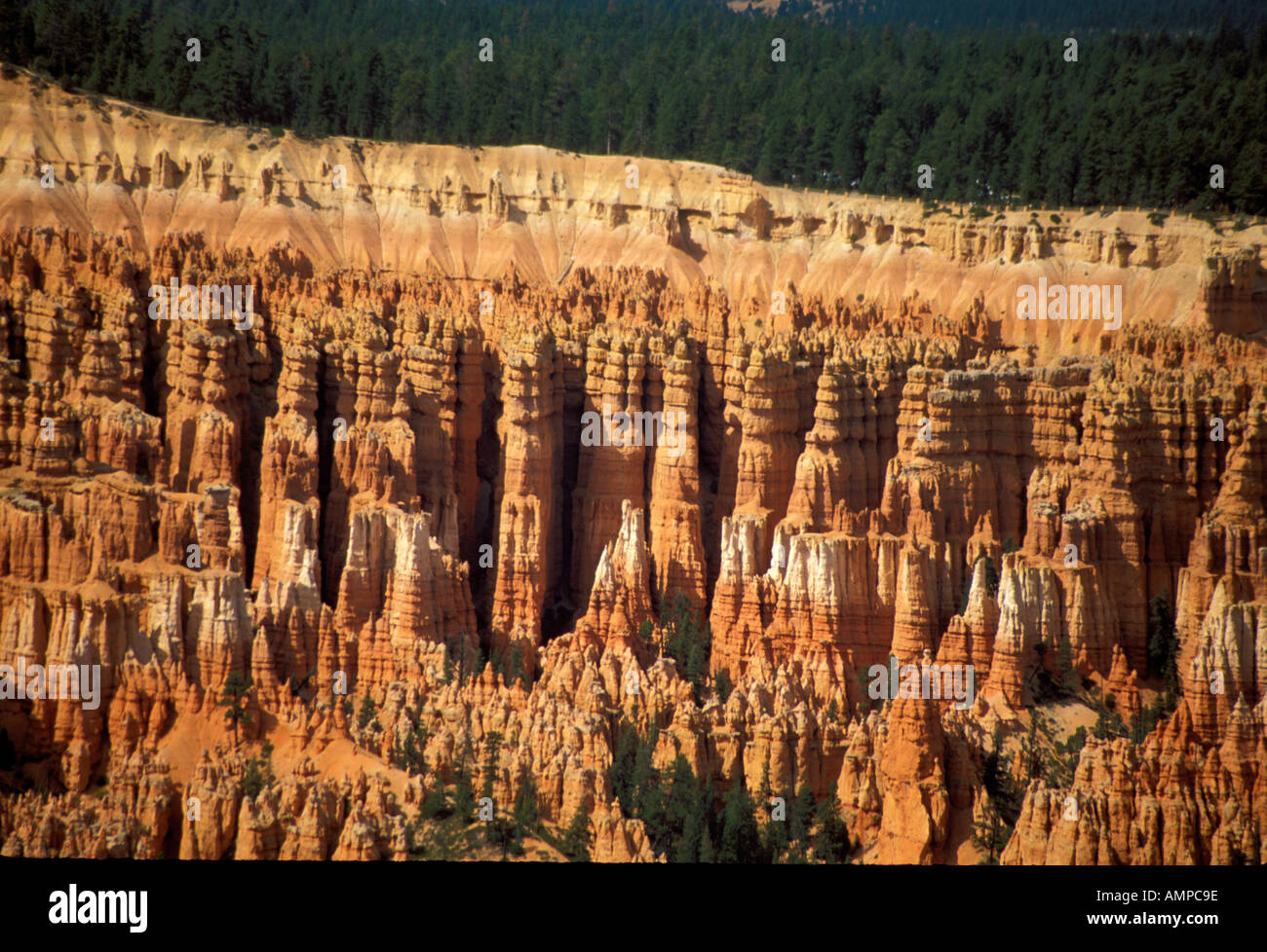 Regal city hi-res stock photography and images - Alamy