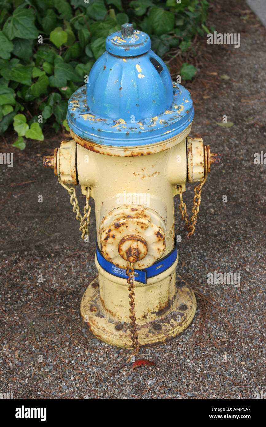 Fire Hydrant Carmel By Sea California USA Stock Photo - Alamy