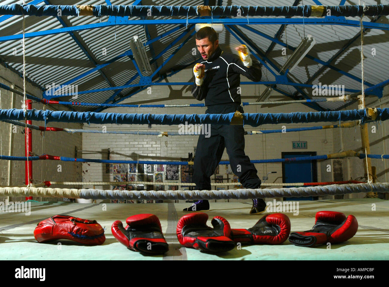 Boxer wayne mccullough hi-res stock photography and images - Alamy