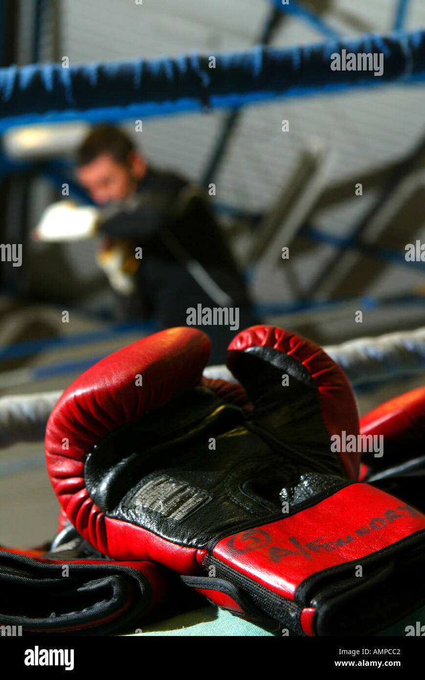 Belfast boxer Wayne McCullough in training at the Albert Foundry in ...