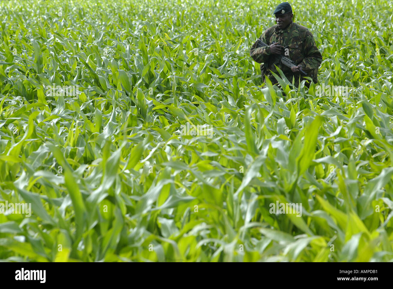 Drumcree hi-res stock photography and images - Alamy