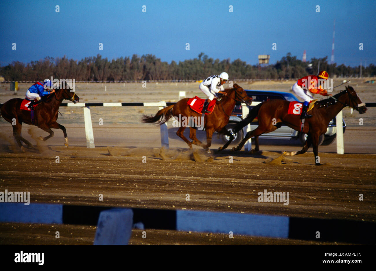 Kuwait horse hi-res stock photography and images - Alamy