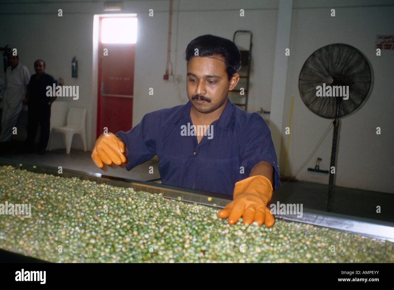 Sorting Peas High Resolution Stock Photography and Images - Alamy