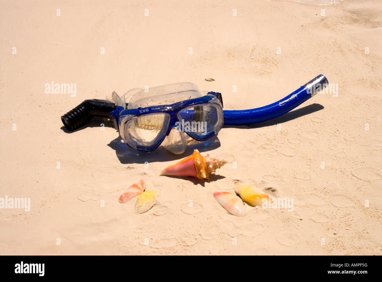 Gordons bahamas caribbean tropics tropical hi-res stock photography and ...