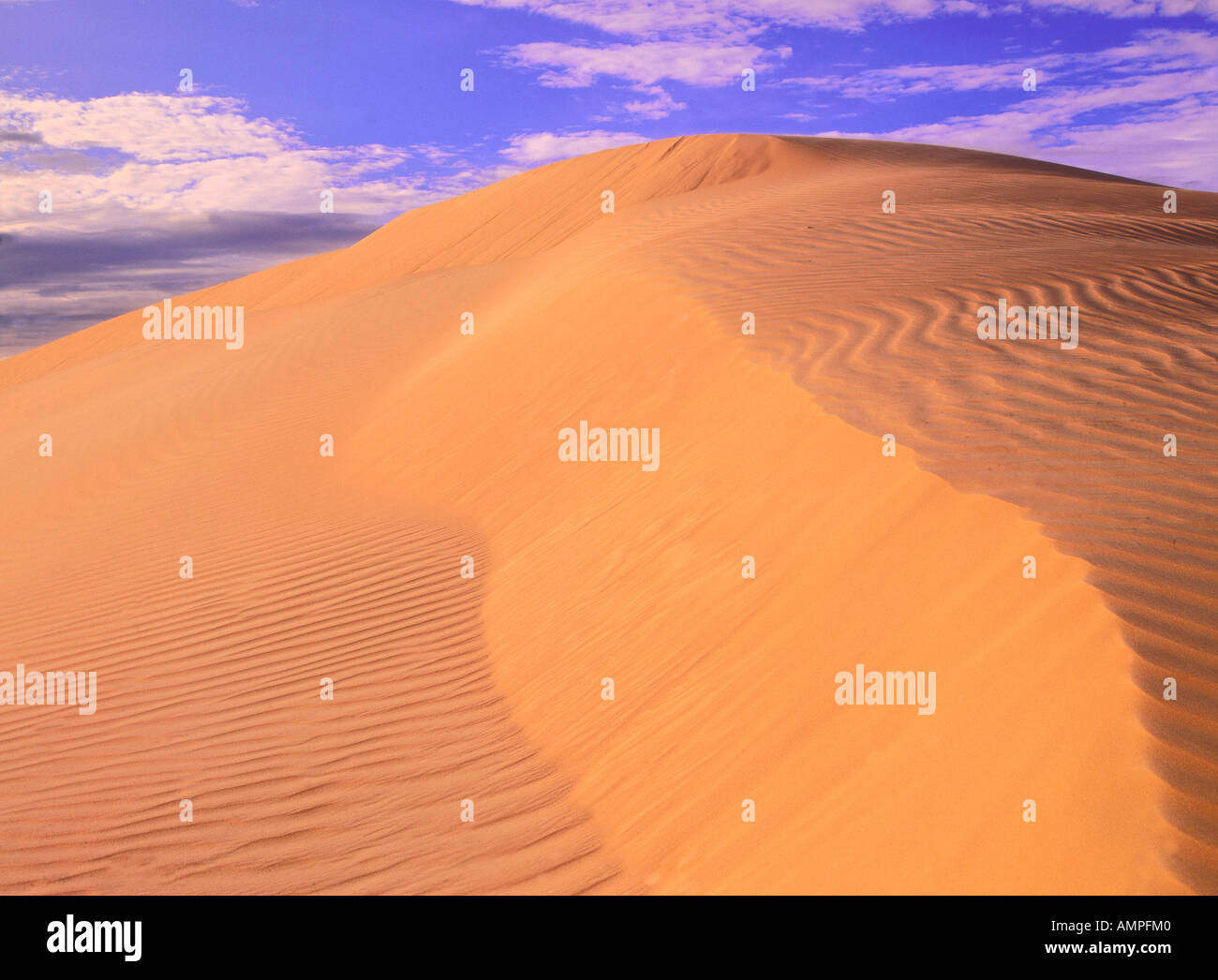 Saskatchewan canada sand dunes hi-res stock photography and images - Alamy