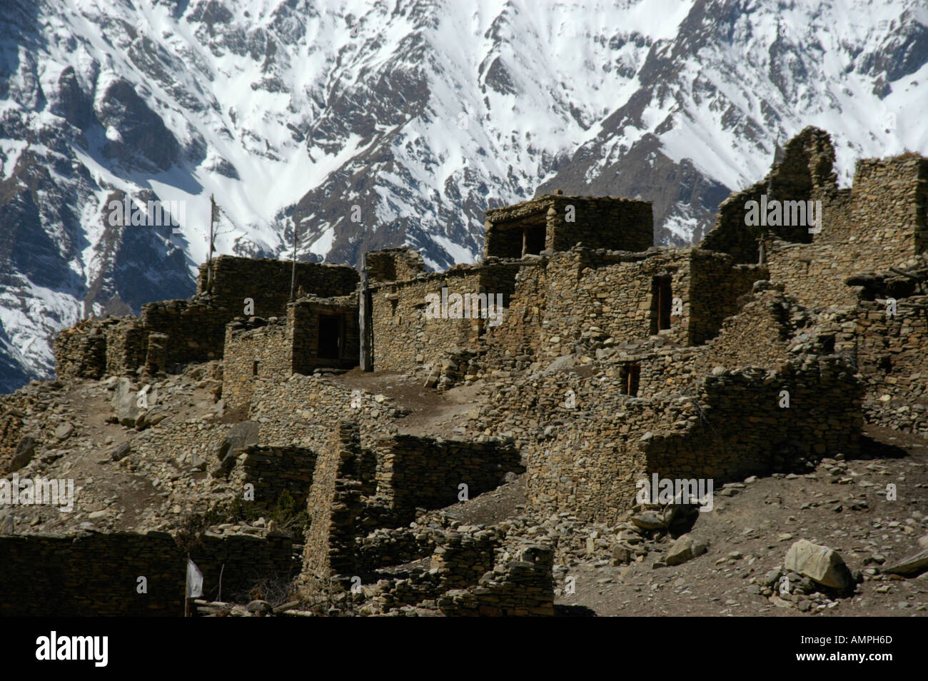 Nested in wall hi-res stock photography and images - Alamy